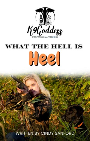Smashwords – What the Hell is Heel