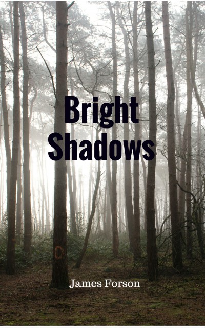 Smashwords – Bright Shadows – a book by James Forson