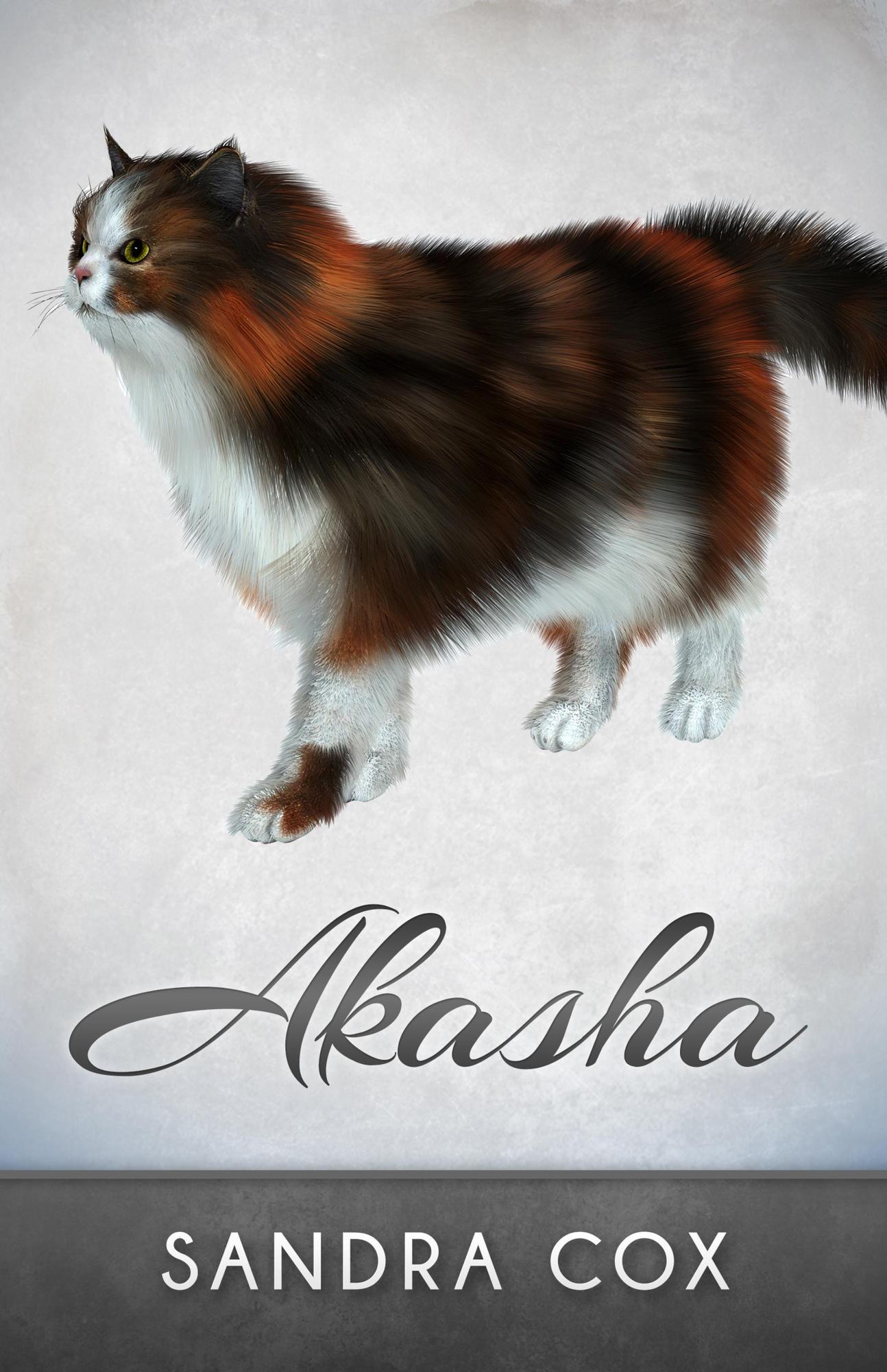 Smashwords – Akasha – a book by Sandra Cox
