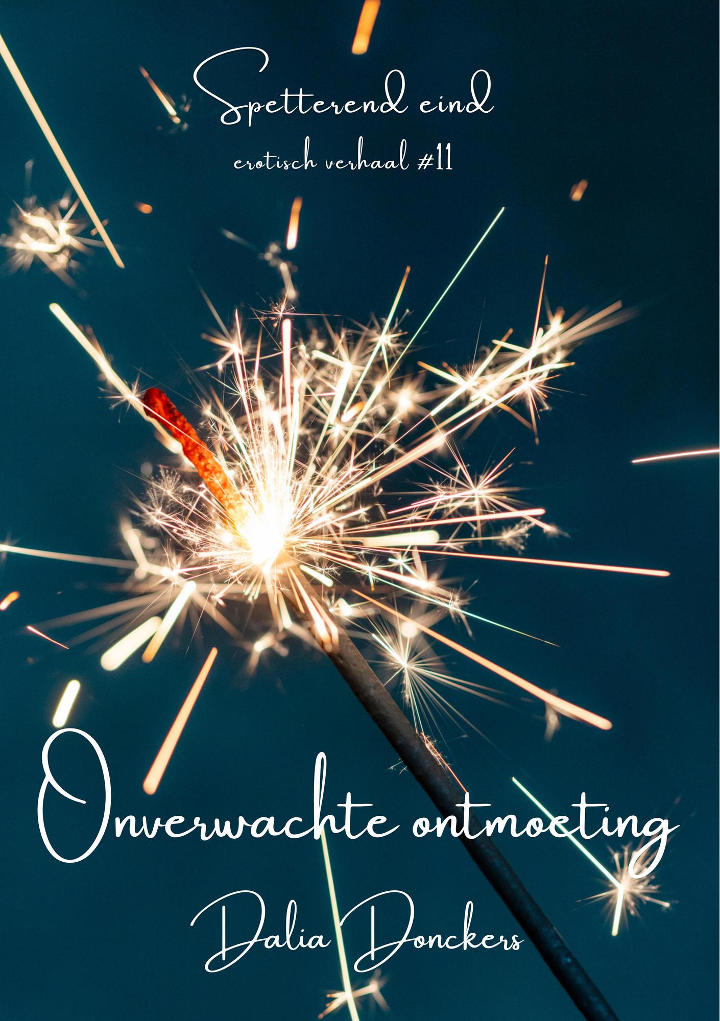 Smashwords – Onverwachte ontmoeting – a book by Dalia Donckers