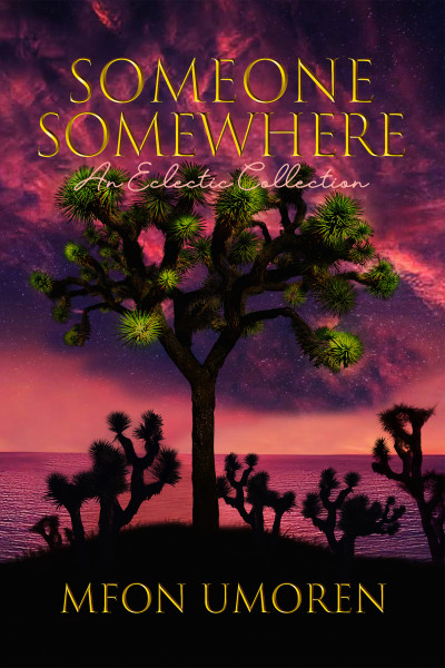 Smashwords – Someone Somewhere – a book by Mfon Umoren