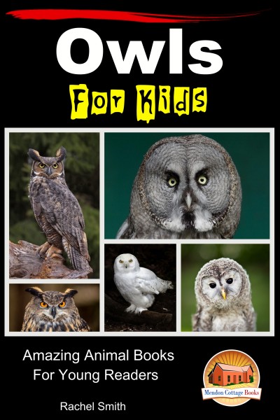 Smashwords – Owls For Kids - Amazing Animal Books For Young Readers – a ...
