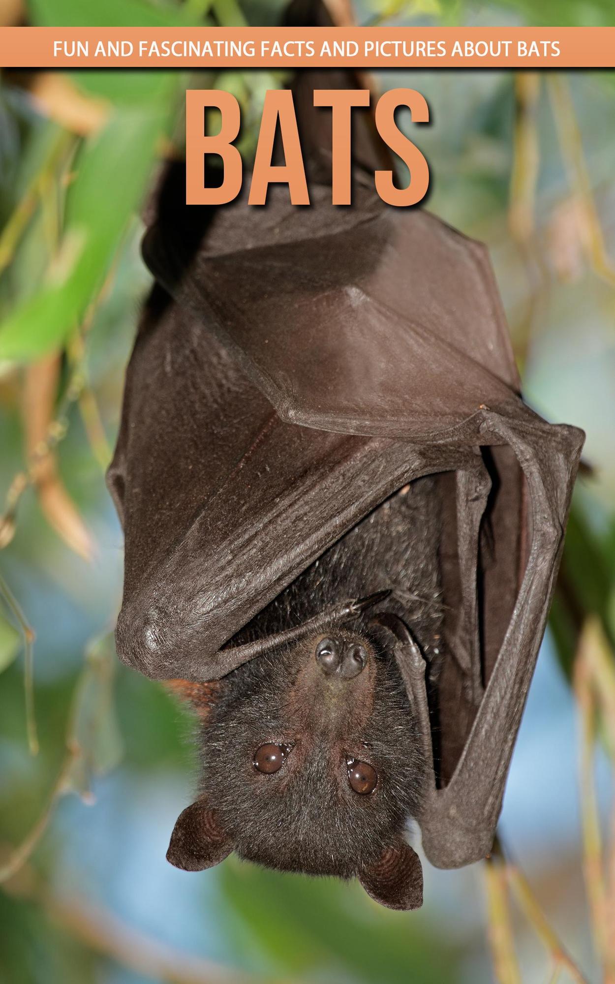 Smashwords – Bats - Fun and Fascinating Facts and Pictures About Bats ...