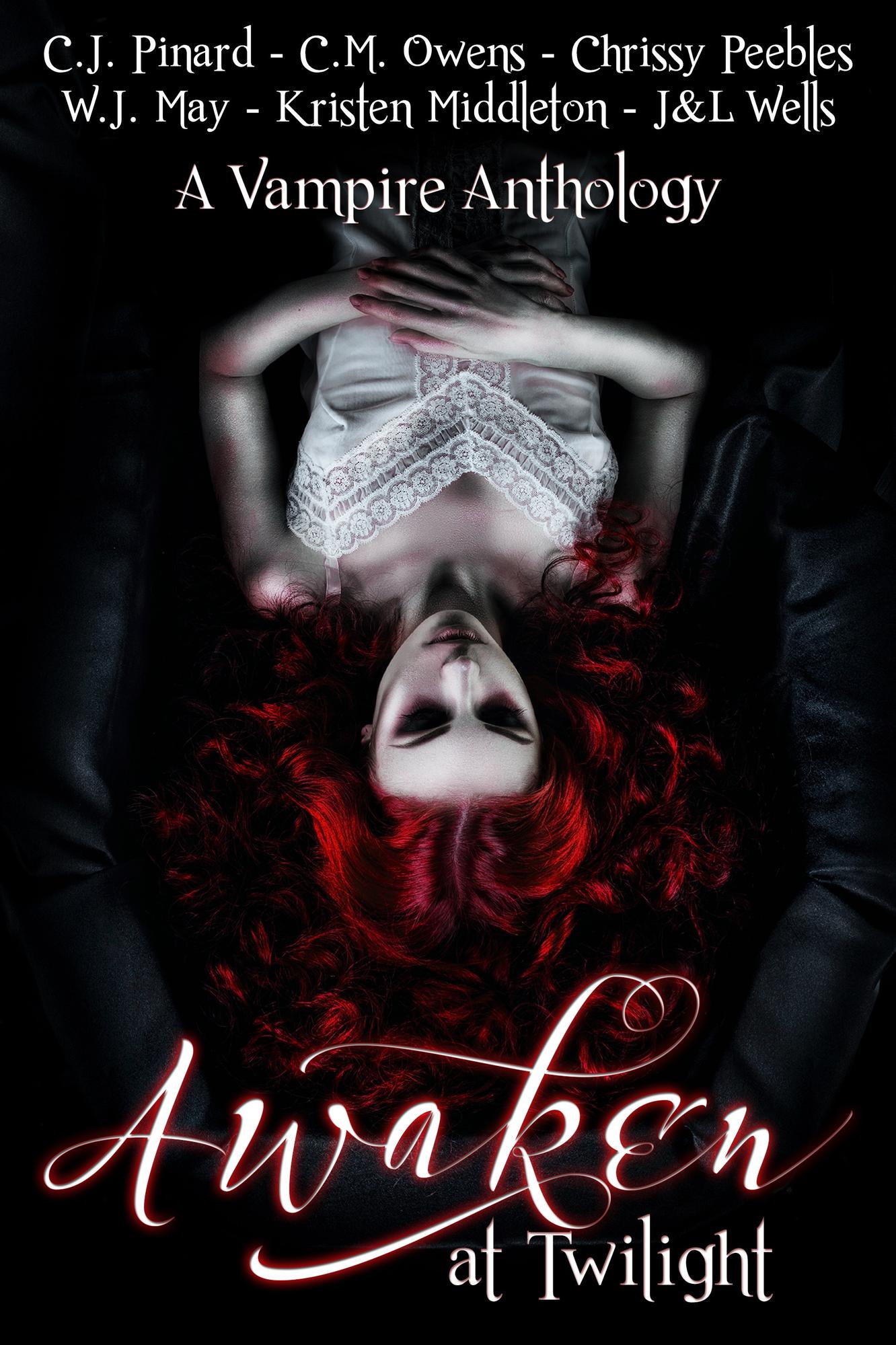Smashwords – Awaken at Twilight (A Vampire Anthology) – a book by Kristen Middleton, J & L Wells ...