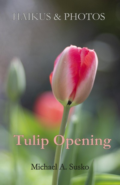 Smashwords – Haikus and Photos: Tulip Opening – a book by Michael A. Susko