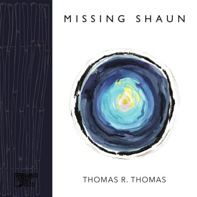 Smashwords – Missing Shaun – a book by Thomas R. Thomas