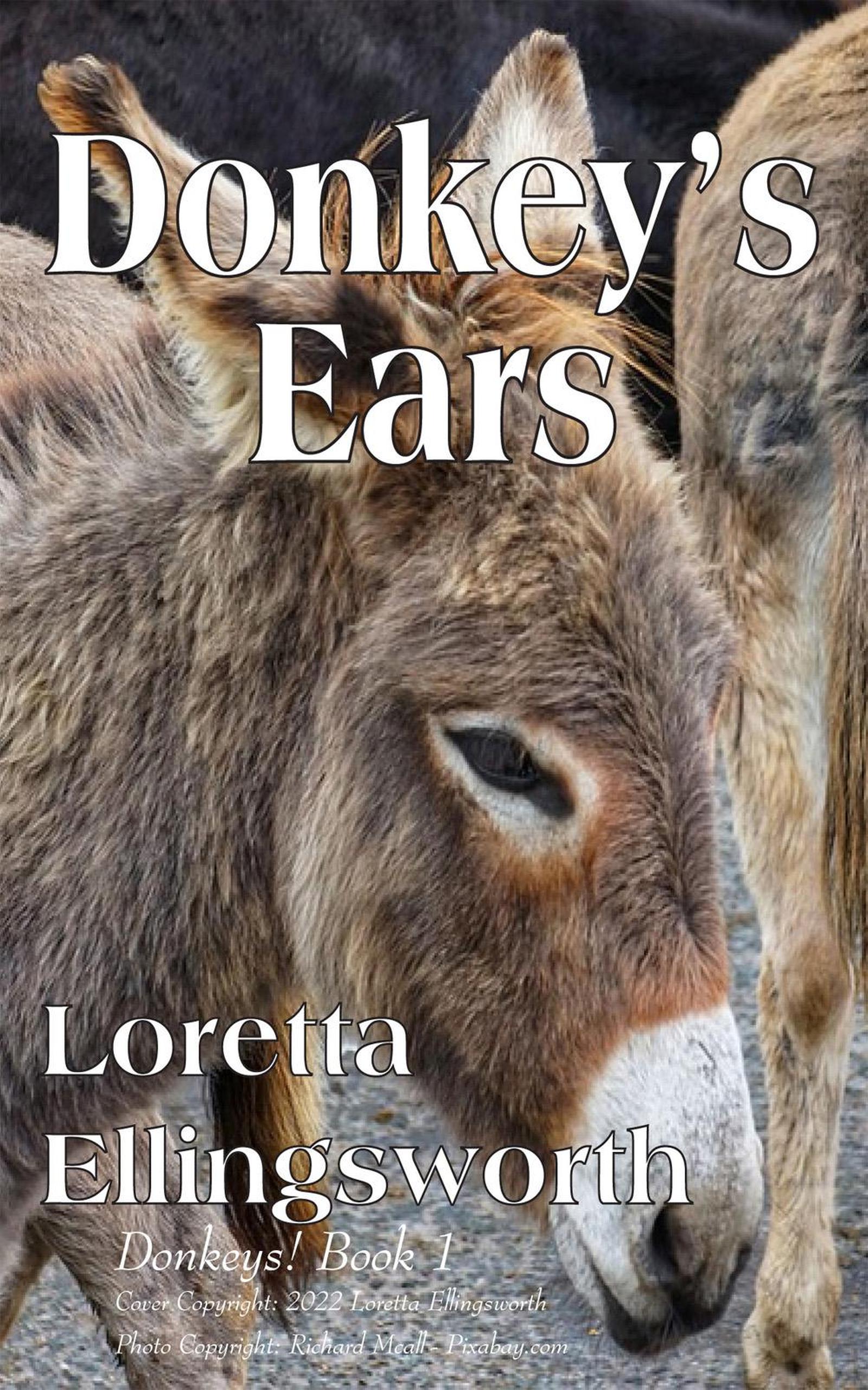 Smashwords – Donkey's Ears – a book by Loretta Ellingsworth