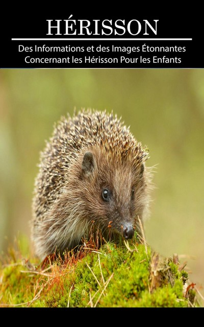 Smashwords – Hérisson: Des Informations et des Images Étonnantes ...