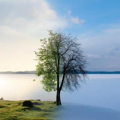 Smashwords – Seasons – a book by Debra Gaskill, John Finck, Stephanie ...