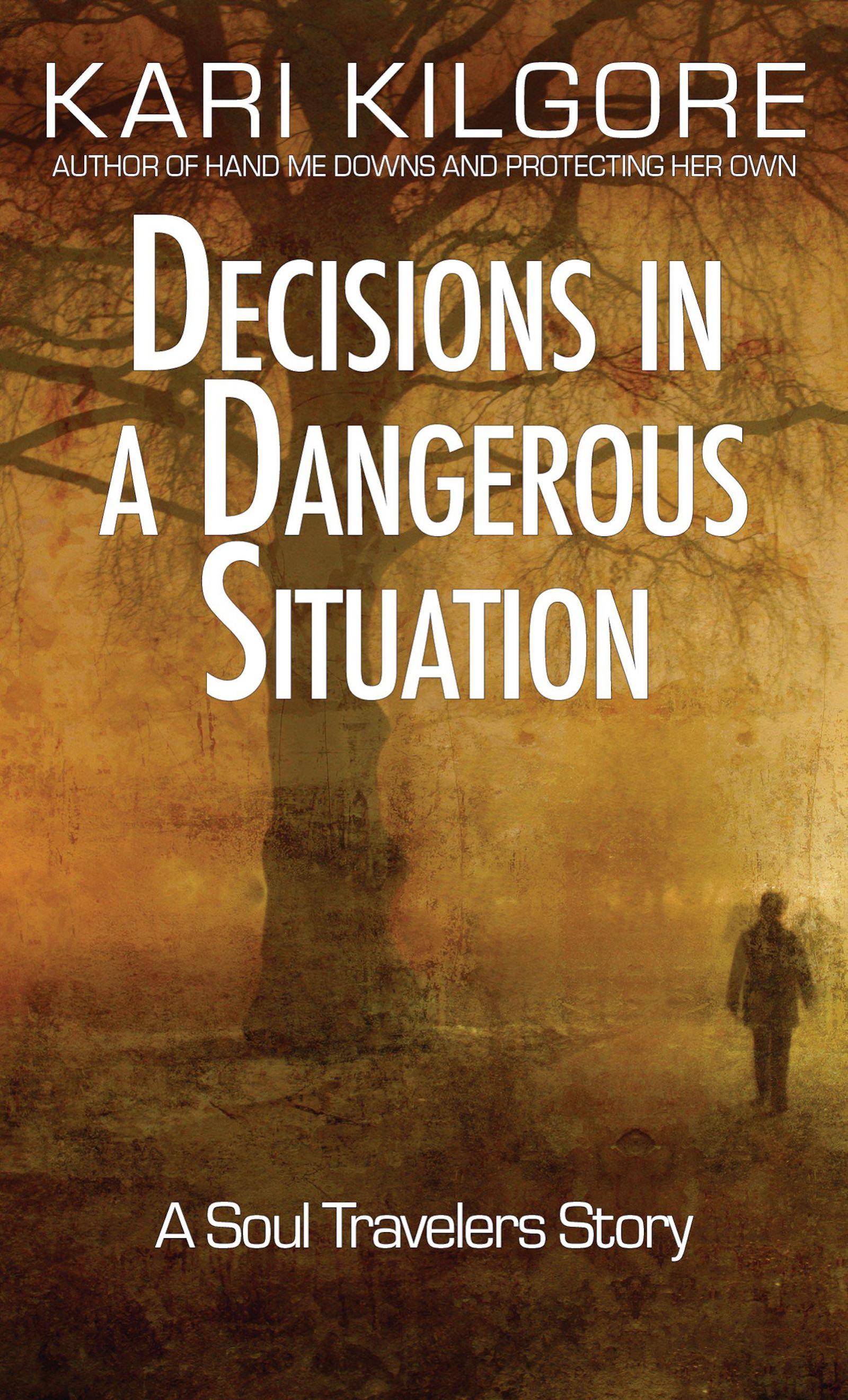 Smashwords – Decisions in a Dangerous Situation – a book by Kari Kilgore
