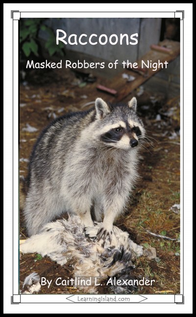 Smashwords – Raccoons: Masked Robbers of the Night – a book by Caitlind ...