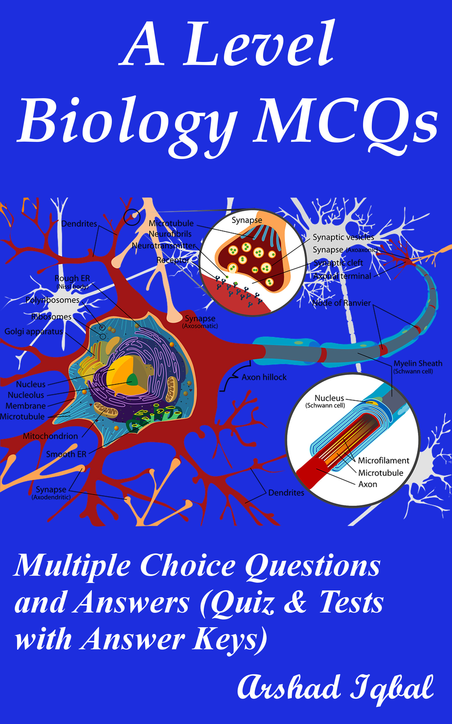 Free Multiple Choice Quiz With Answers Read General Knowledge