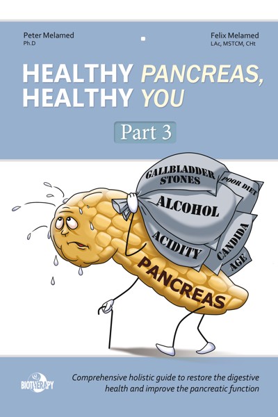 Smashwords – Healthy Pancreas, Healthy You. Part 3. How to Improve the ...