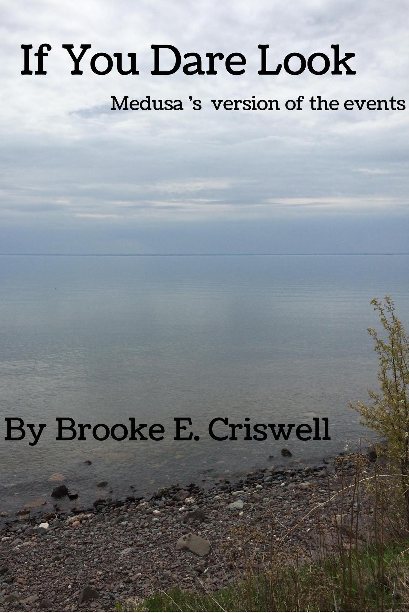 Smashwords – If You Dare Look – a book by Brooke E. Criswell