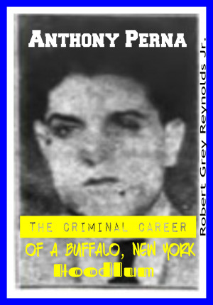 Smashwords – Anthony Perna The Criminal Career of a Buffalo, New York ...