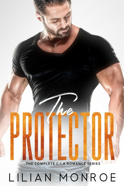 Smashwords – The Protector – a book by Lilian Monroe