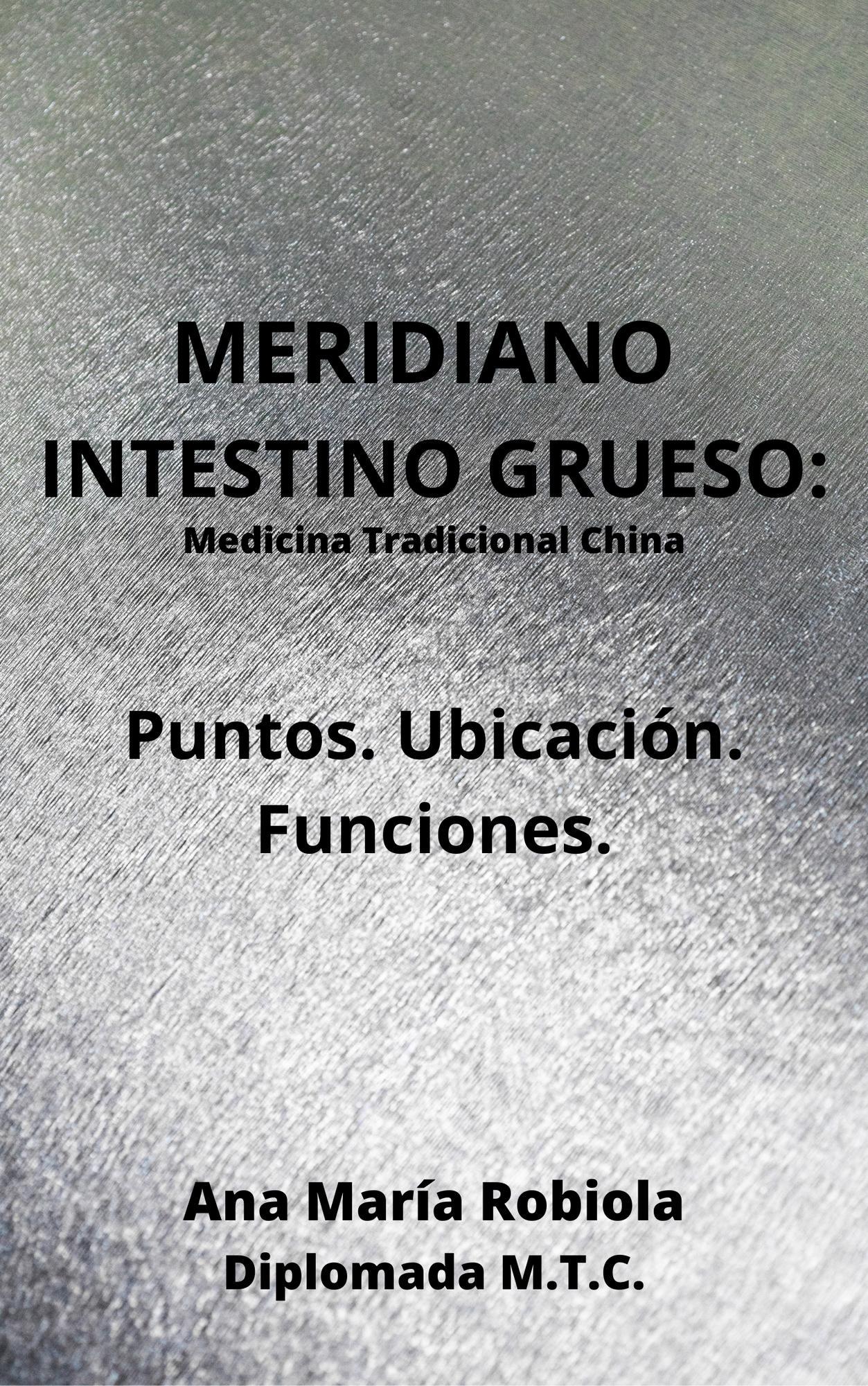 Smashwords – Meridiano Intestino Grueso. Puntos. Ubicación. Funciones ...