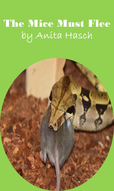 Smashwords – The Mice Must Flee – a book by Anita Hasch