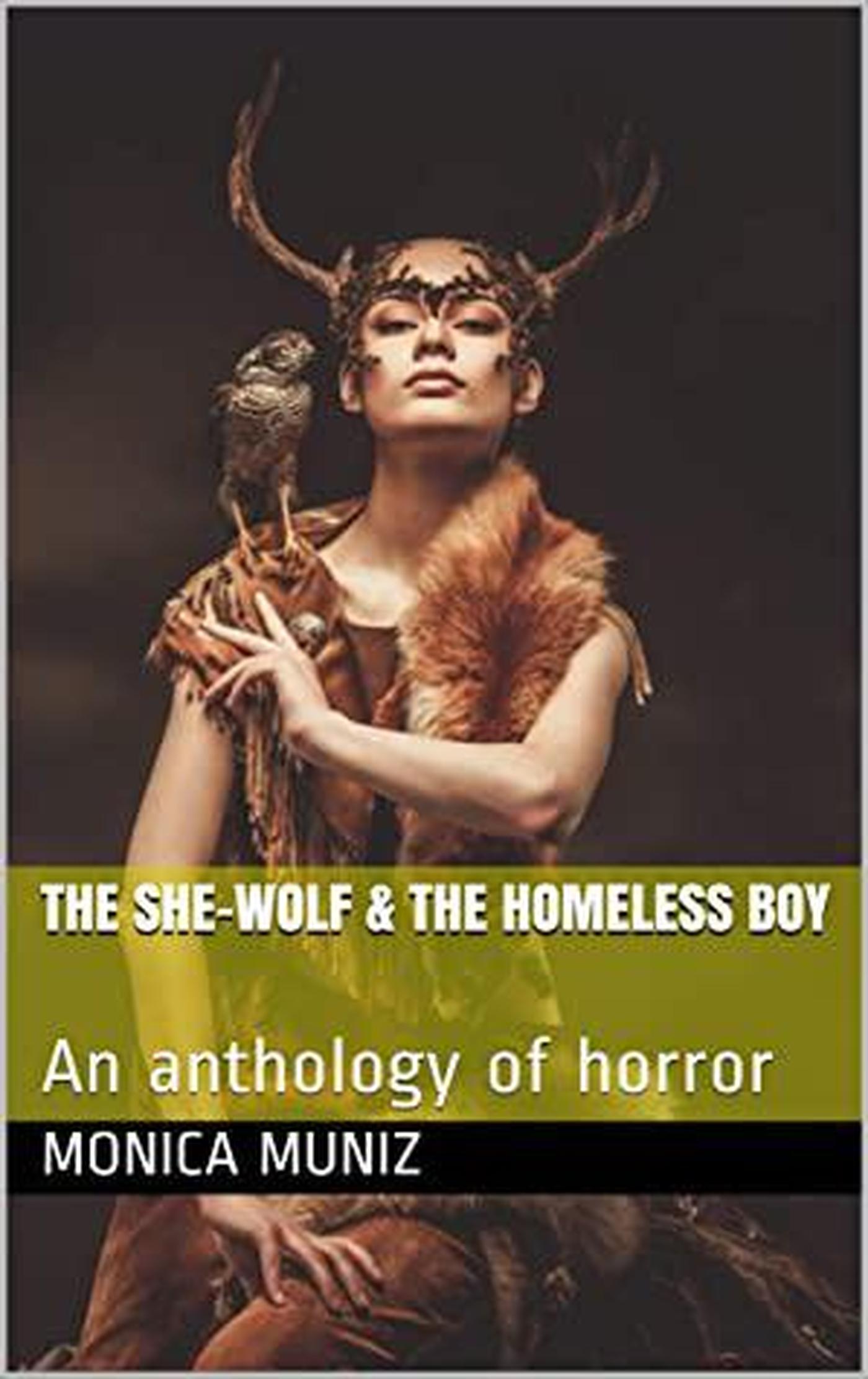 Smashwords – The She Wolf & The Homeless Boy – a book by Monica Muniz