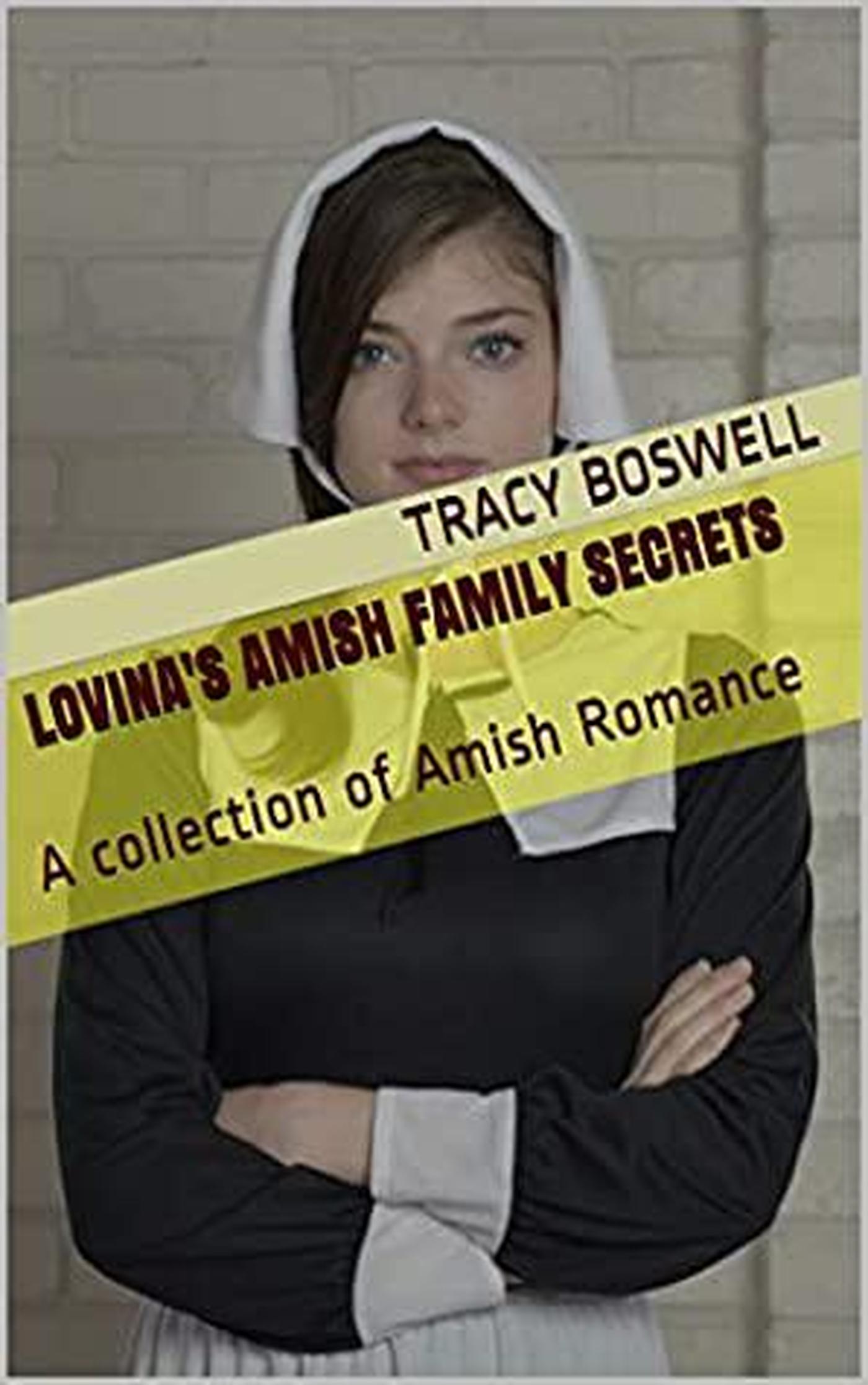 Smashwords – Lovina's Amish Family Secrets – a book by Tracy Boswell