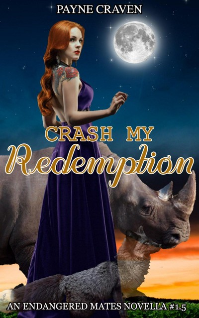 Smashwords – Crash My Redemption – a book by Payne Craven