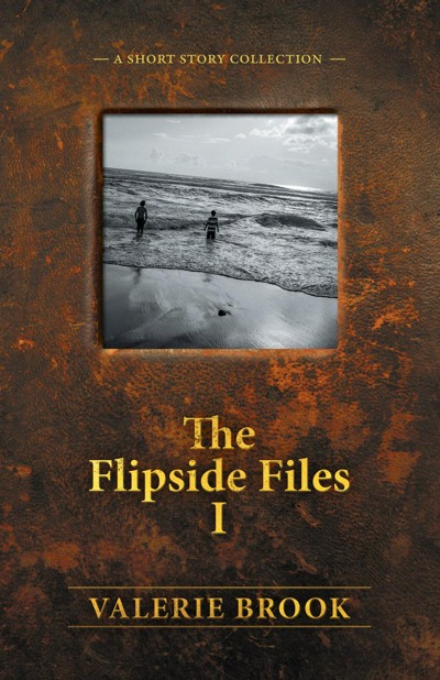 Smashwords – The Flipside Files I – a book by Valerie Brook