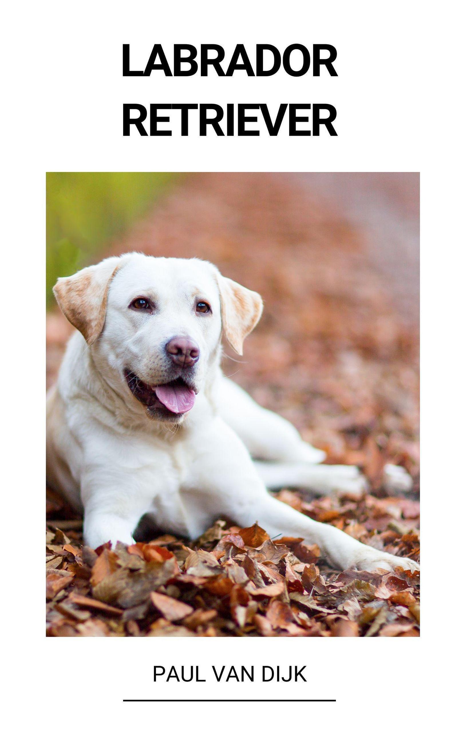 Smashwords – Labrador Retriever – a book by Paul Van Dijk