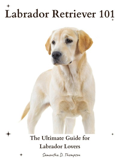 Smashwords – Labrador Retriever 101: The Ultimate Guide for Labrador ...