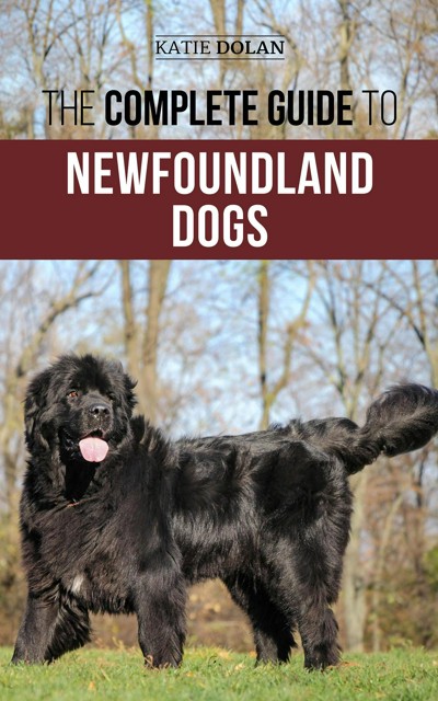 Smashwords – The Complete Guide to Newfoundland Dogs – a book by Katie ...