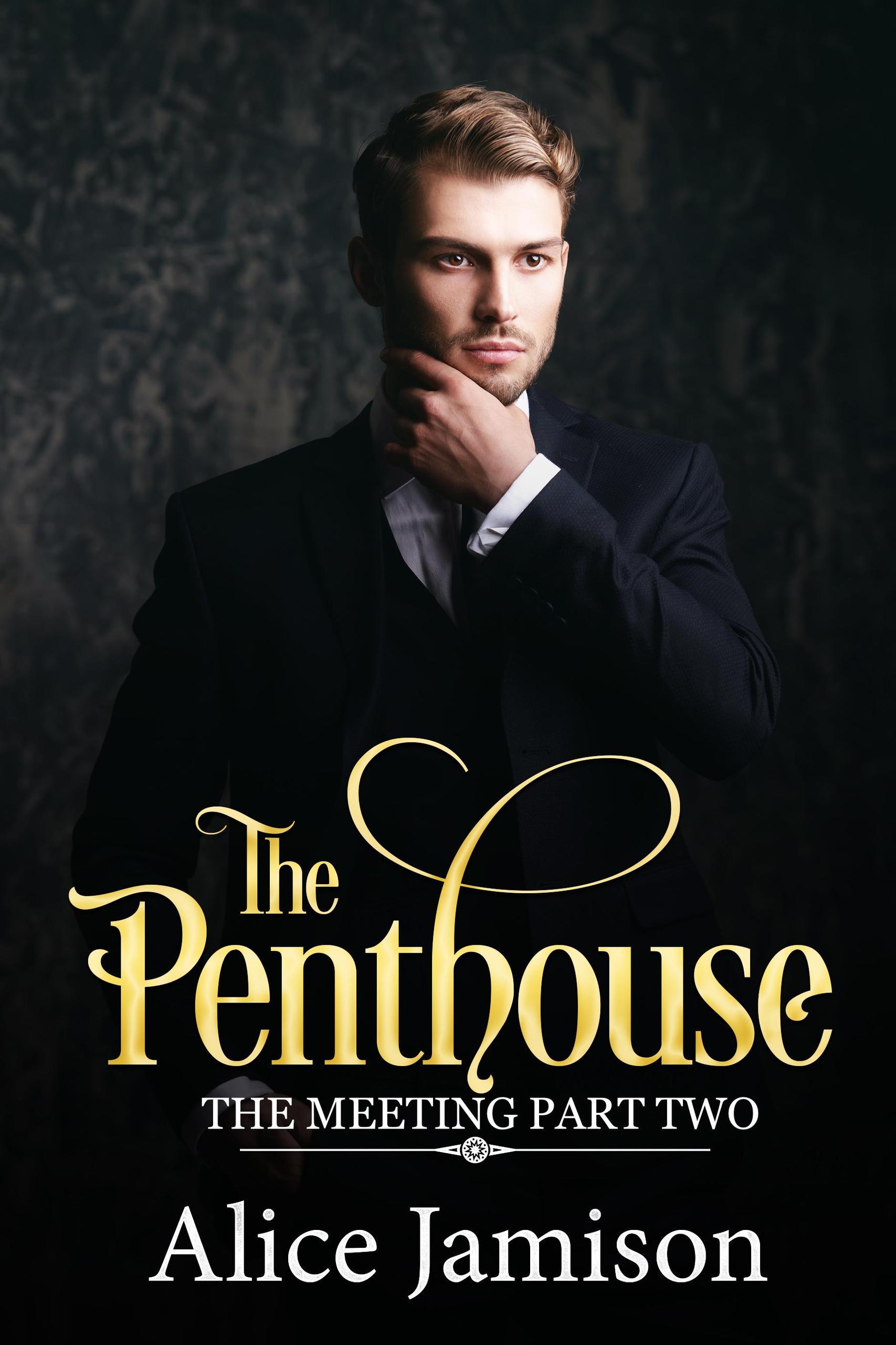 Smashwords – The Penthouse (The Meeting Part Two) – a book by Alice Jamison