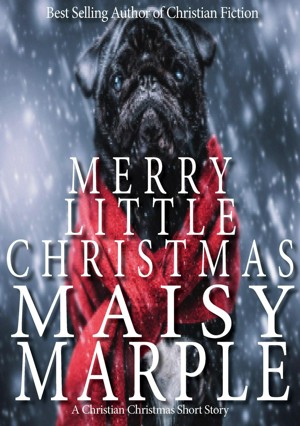 Smashwords – Merry Little Christmas