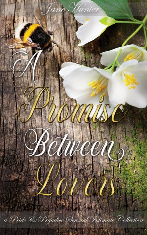 Smashwords – A Promise Between Lovers: A Pride and Prejudice Sensual Intimate Collection