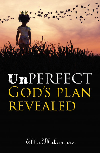 Smashwords – UnPERFECT – a book by Ebba Makamure