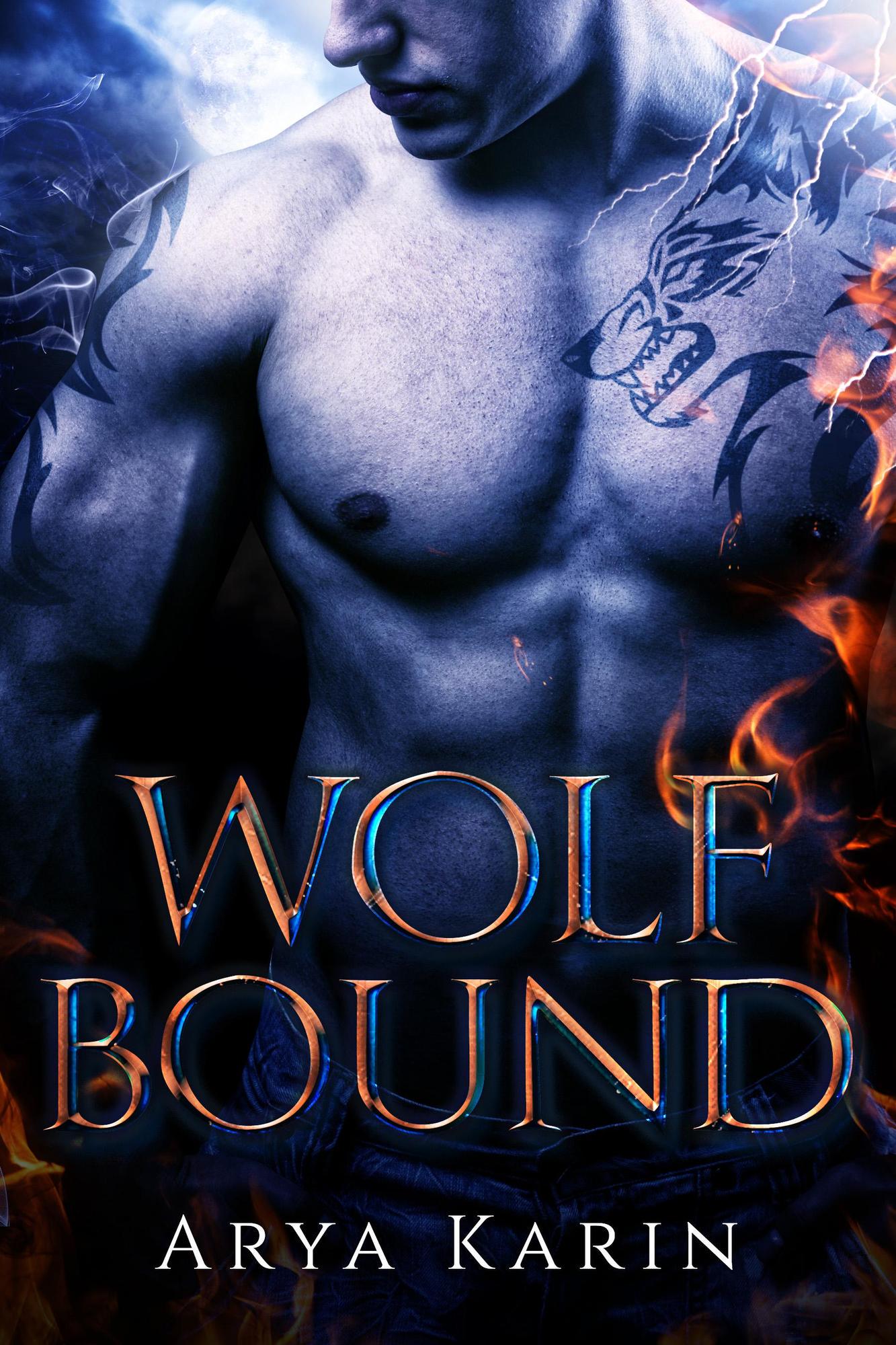Smashwords – Wolf Bound – a book by Arya Karin