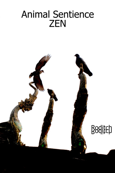 Smashwords – Animal Sentience Zen – a book by Roditch