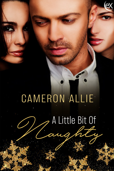 Smashwords – A Little Bit of Naughty – a book by Cameron Allie