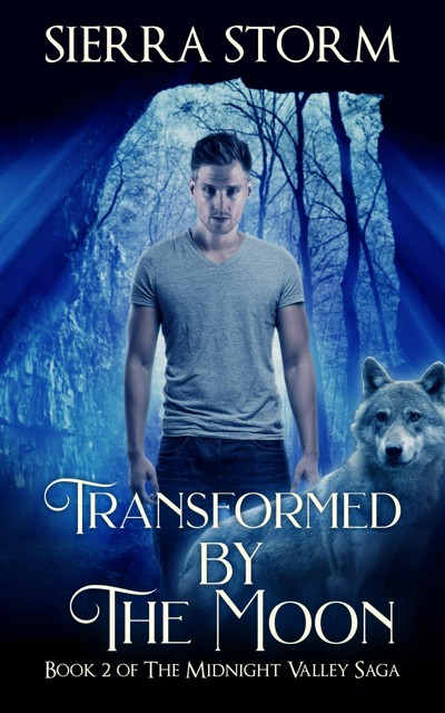 Smashwords – Transformed by The Moon – a book by Sierra Storm