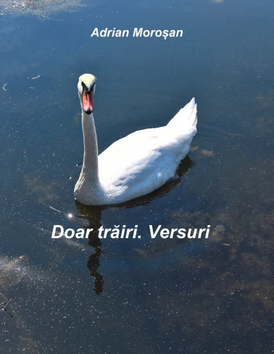 Smashwords – Doar trăiri. Versuri – a book by Adrian Morosan