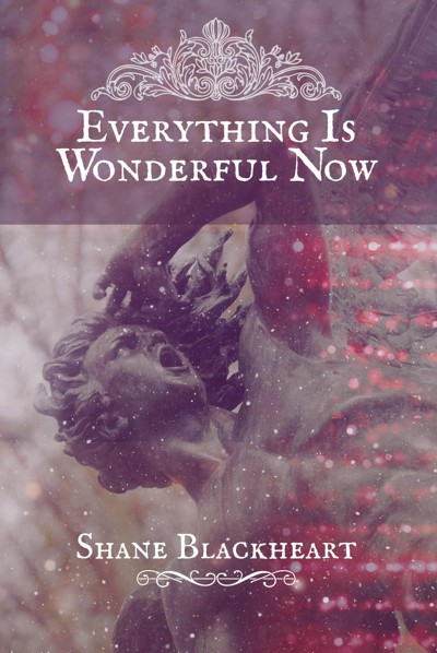 Smashwords – Everything Is Wonderful Now – a book by Shane Blackheart