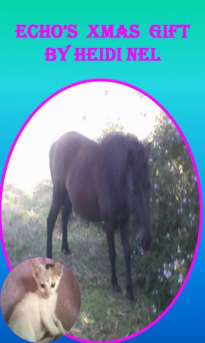 Smashwords – Echo's Xmas Gift – a book by Heidi Nel