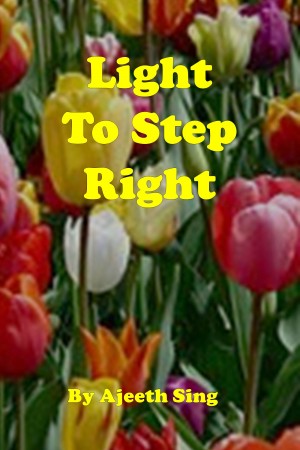 Smashwords – Light To Step Right – a book by Ajeeth Sing
