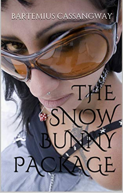 Smashwords – The Snow Bunny Package – a book by Bartemius Cassangway