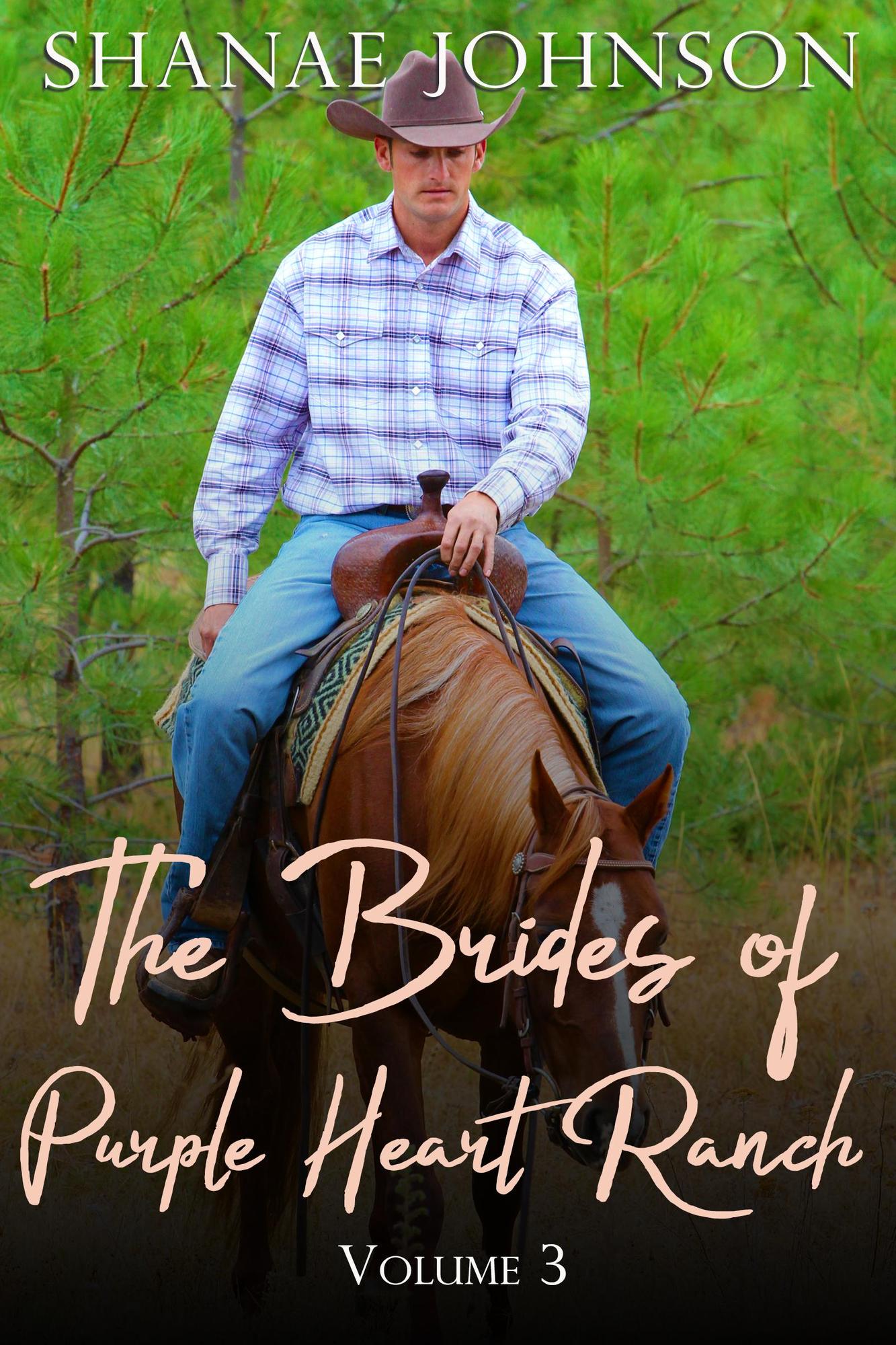 Smashwords – The Brides of Purple Heart Ranch Boxset Volume 3 – a book ...