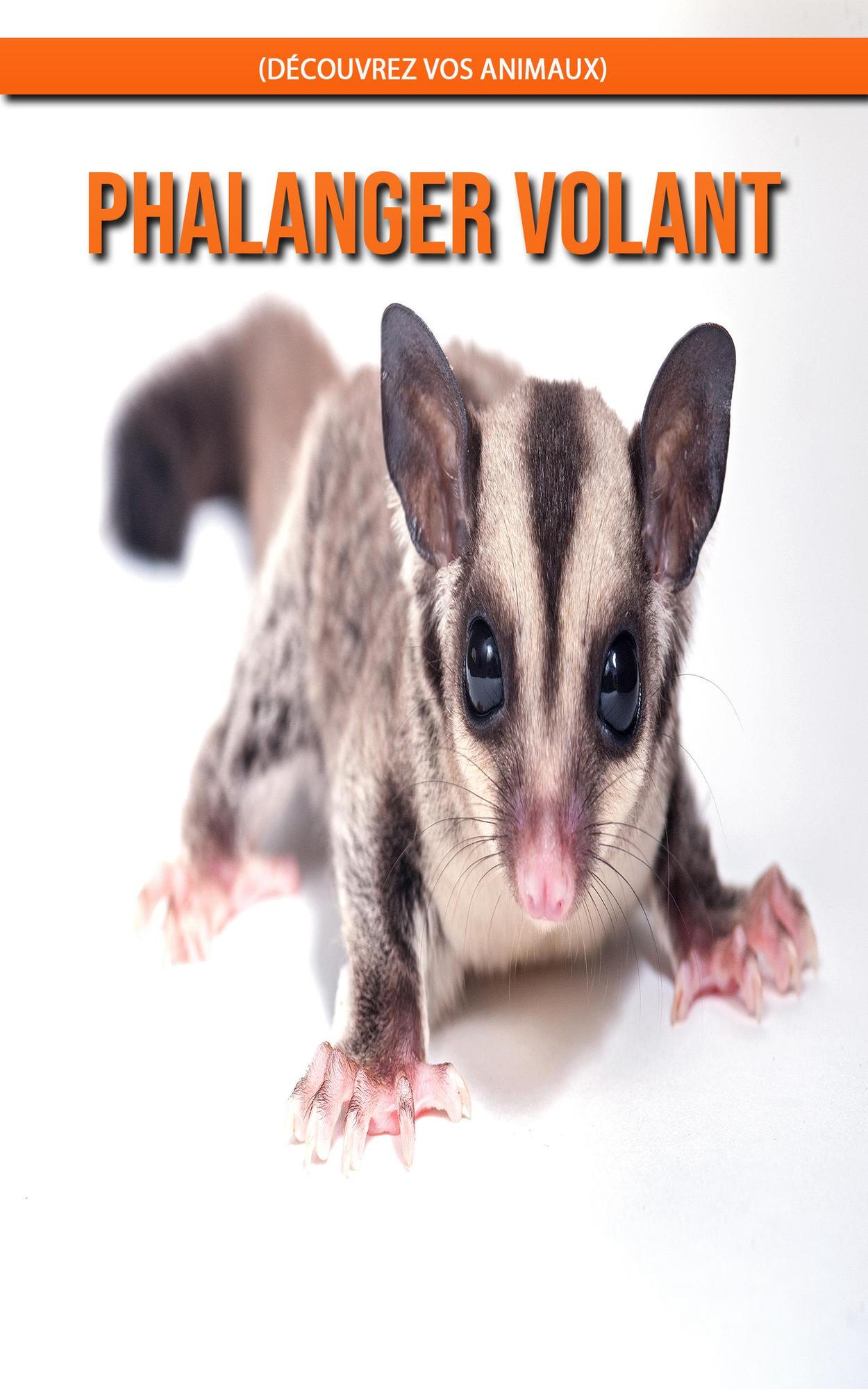 Smashwords – Phalanger Volant (Découvrez Vos Animaux) – a book by ...